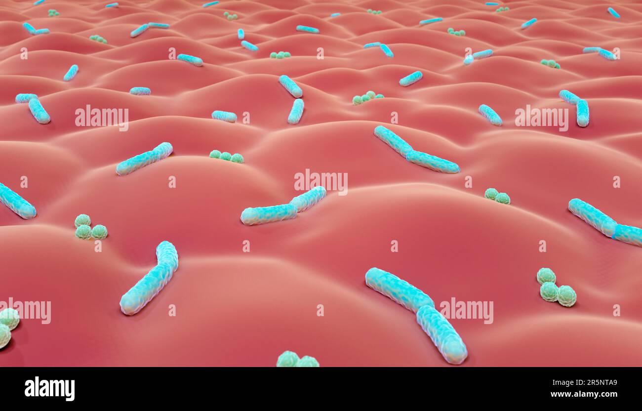 Bacteria on skin, illustration Stock Photo - Alamy