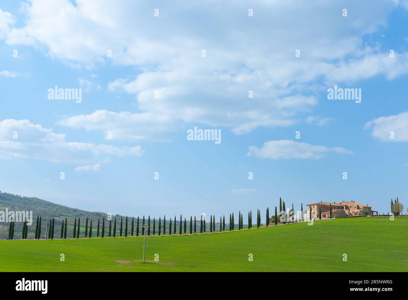 Cypress trees line driveway to distant farmhouse in typical Tuscan ...
