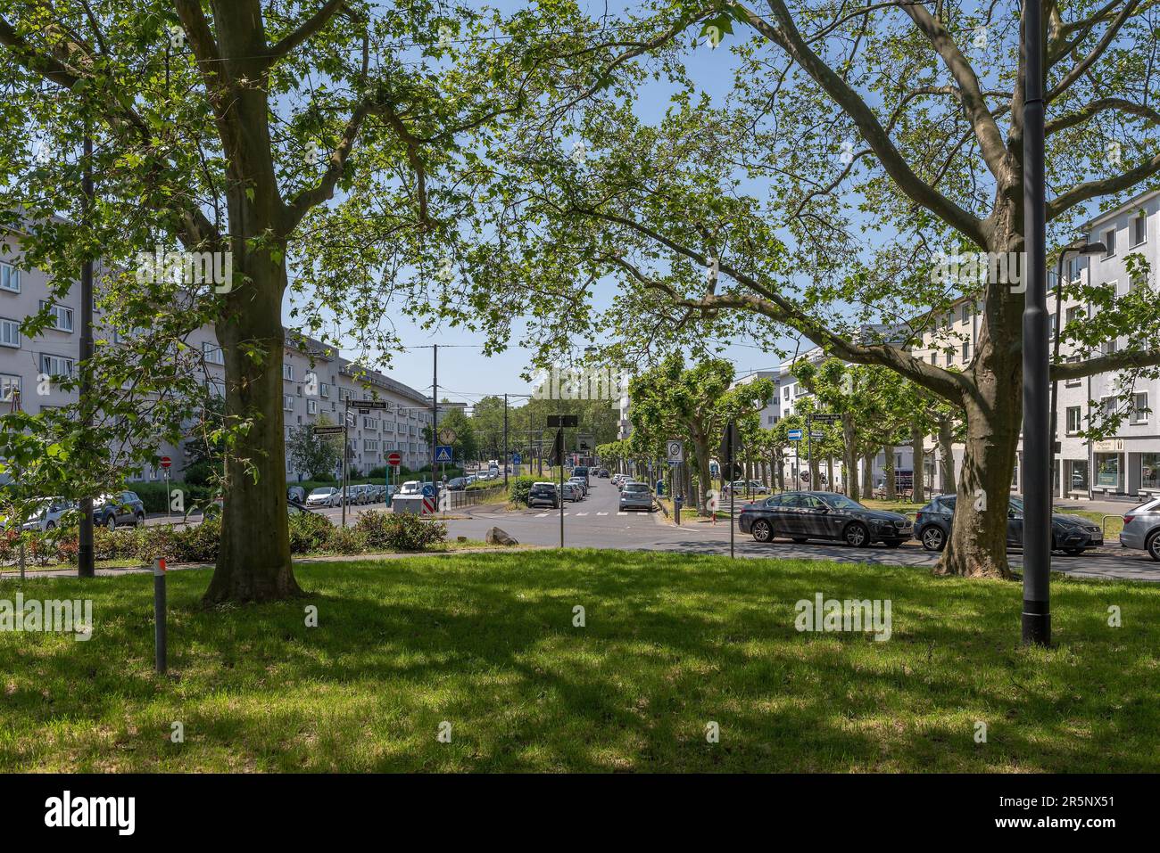 Houses in the bornheimer hang settlement, Frankfurt, Germany Stock ...