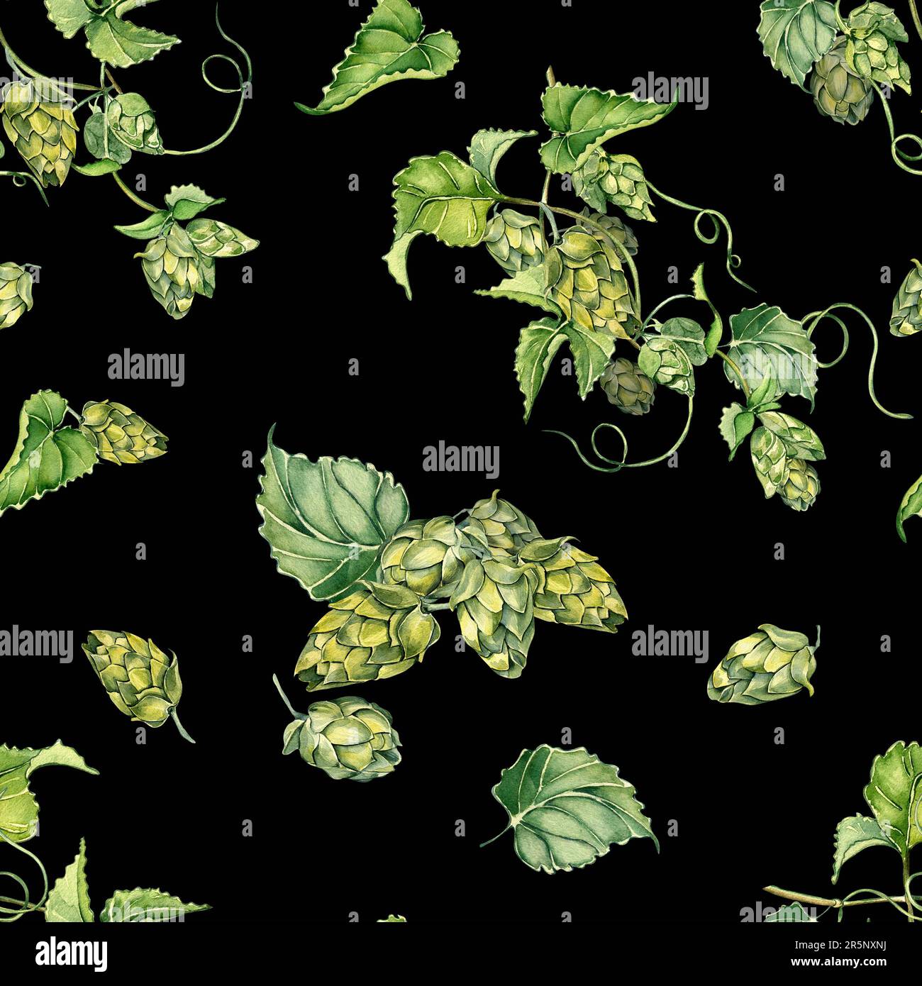 Hop vine, plant humulus watercolor seamless pattern isolated on black background. Hop on brunch ...