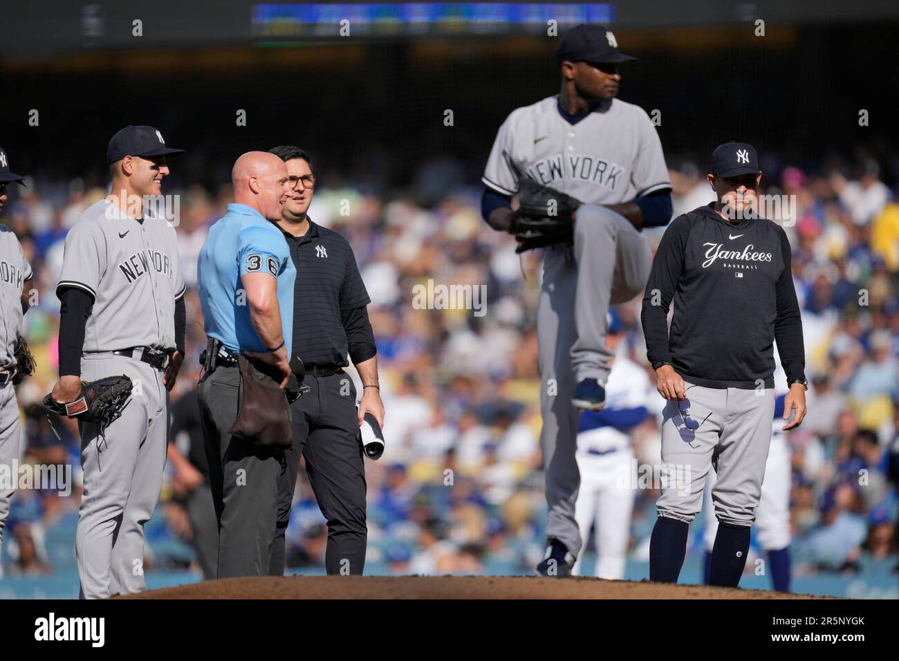 New York Yankees starting pitcher Domingo German, second from right ...