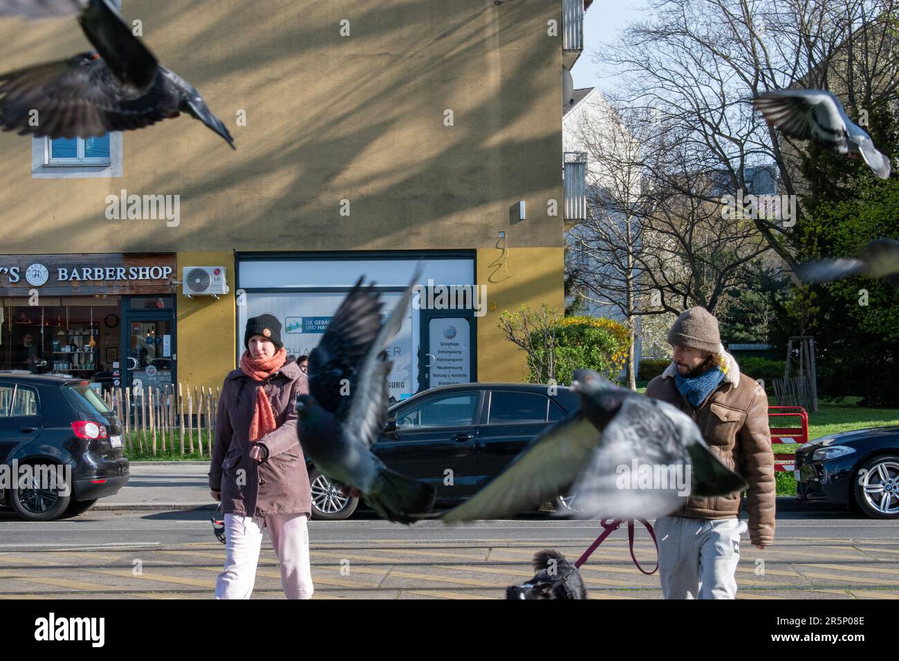 vienna, austria. 04 april 2023 urban symphony birds in flight, people ...