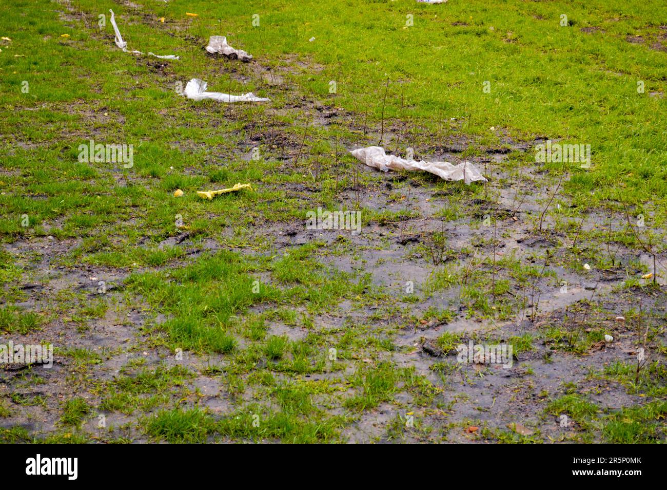 View of green ecologically clean green grass littered with garbage and ...