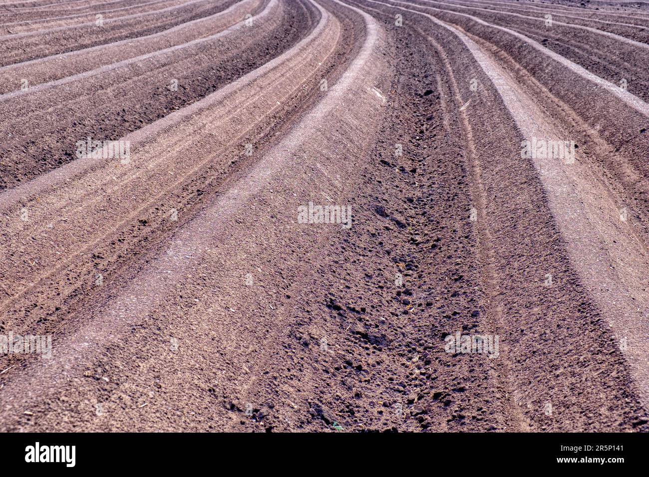 Plowed farmland rows soil hi-res stock photography and images - Alamy