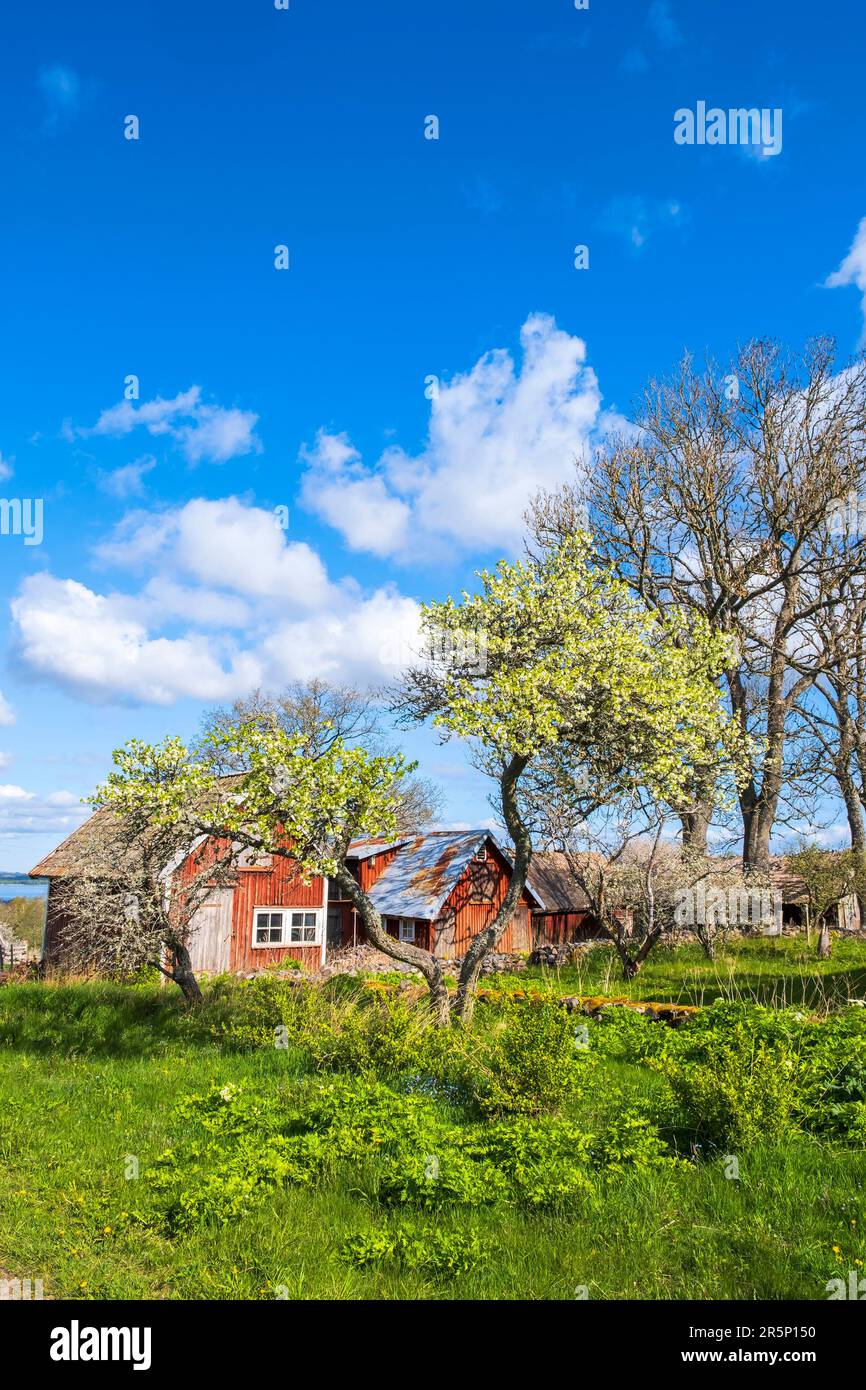 Rustic barn landscape trees hi-res stock photography and images - Alamy