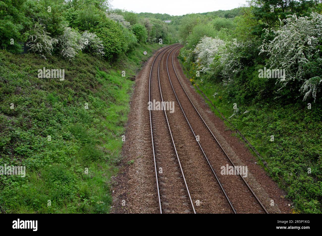 Rural train track curving into distance, surrounded by forest Stock ...