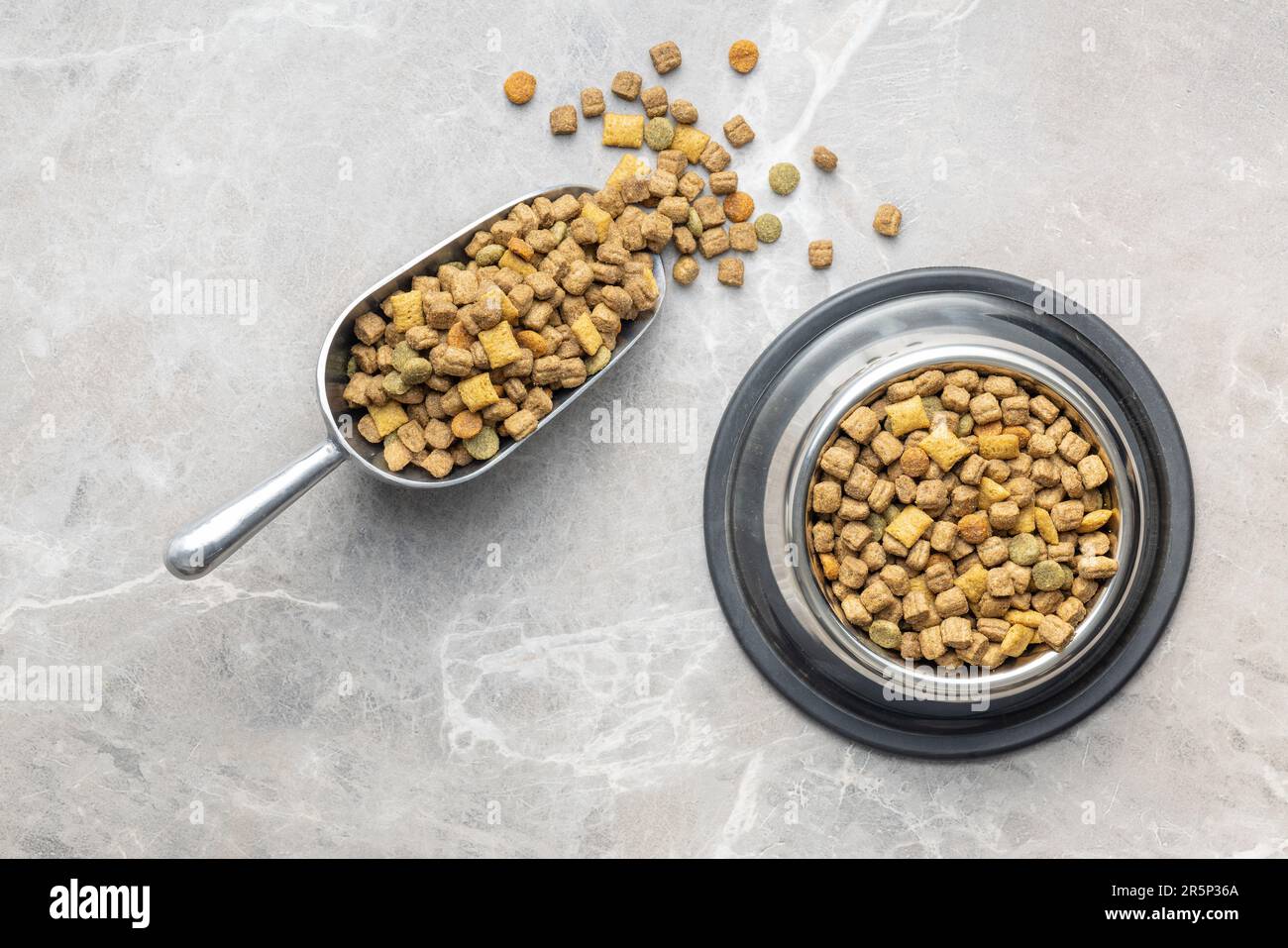 Dry kibble pet food. Dog or cat food in scoop on the gray table. Top ...