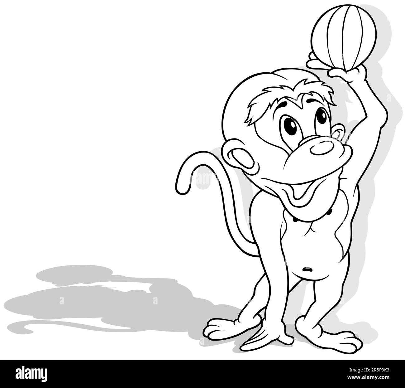 Monkey playing ball hi-res stock photography and images - Alamy
