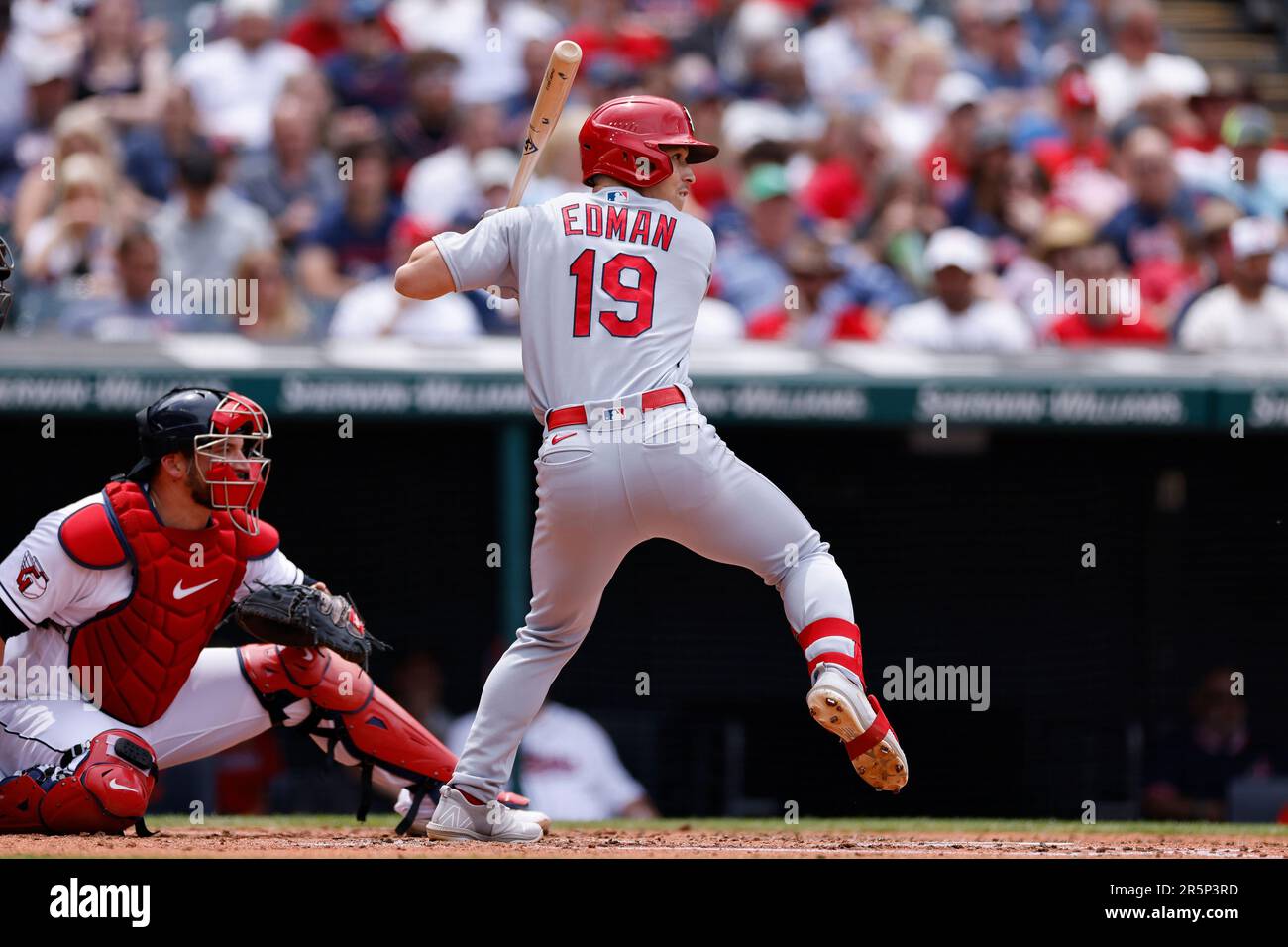 CLEVELAND, OH - MAY 28: St. Louis Cardinals second baseman Tommy Edman (19) bats during an MLB ...