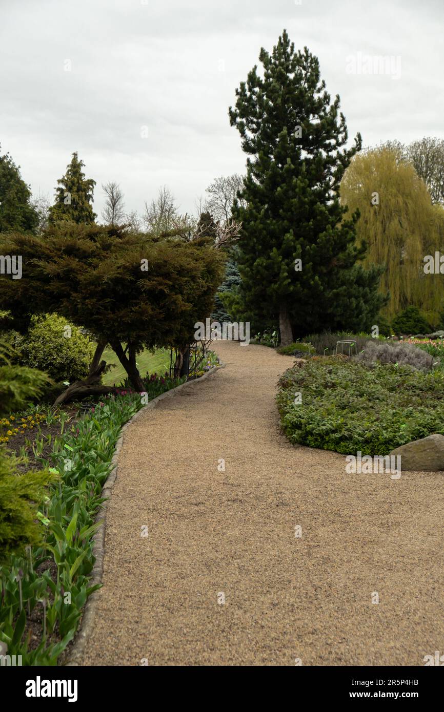 Footpath through lush green plants in botanical garden in Wroclaw ...