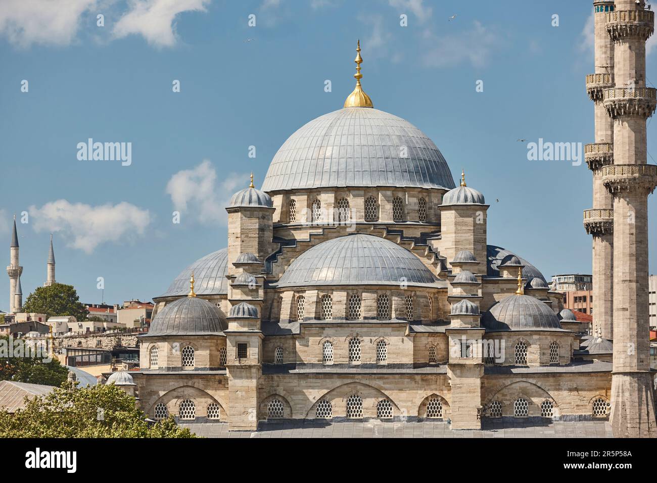 Suleymaniye mosque. Domes and minarets in Istanbul cityscape. Turkish ...