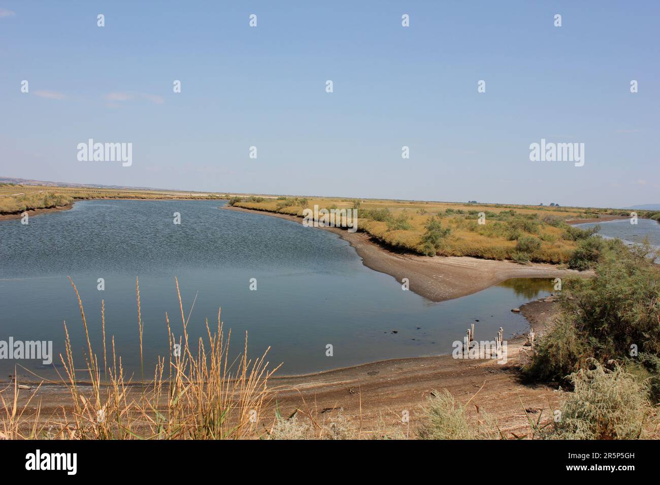 Delta Evros National Park, Evros Thraki Greece Stock Photo - Alamy