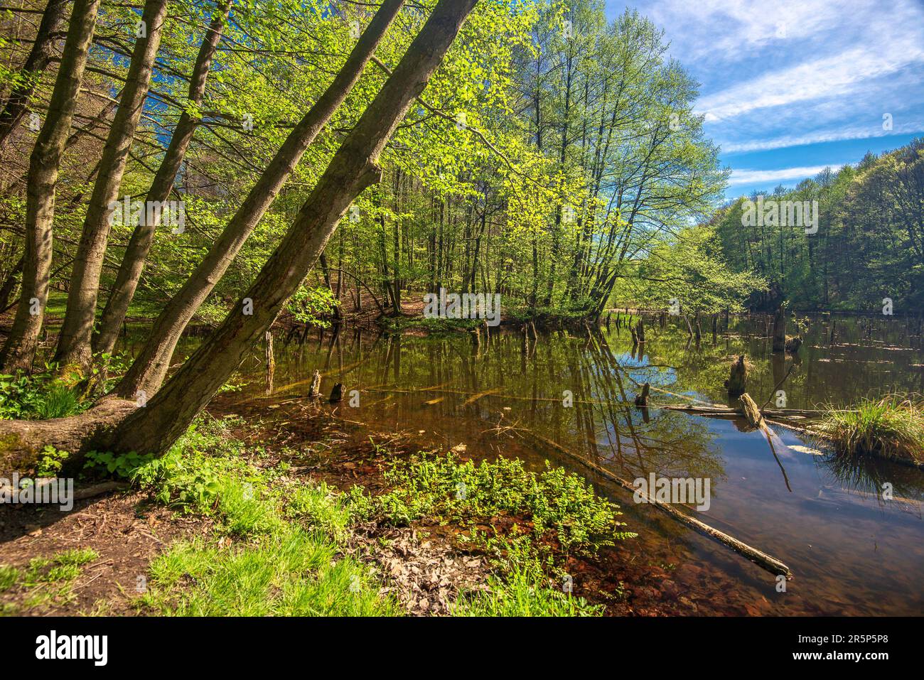 Alias background hi-res stock photography and images - Alamy Alias background hi-res stock photography and images - Alamy