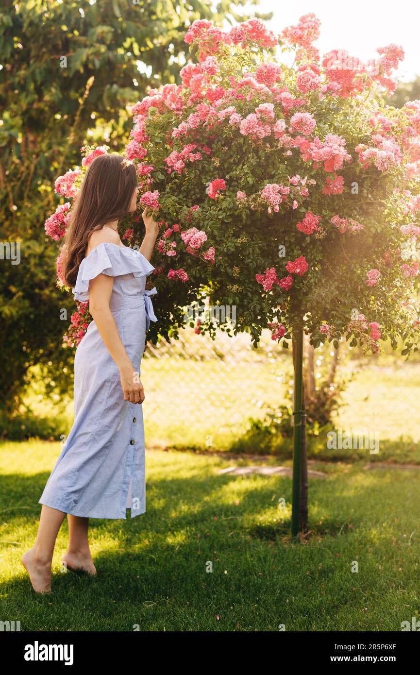 Outdoor summer portrait of beautiful young woman smelling fresh pink ...