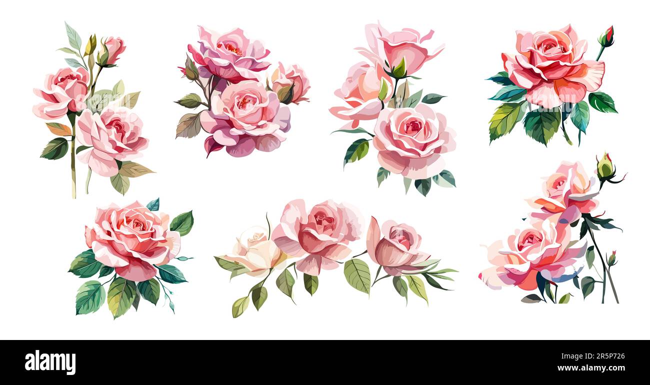 Set of Gorgeous Pink roses vector compositions Stock Vector Image & Art ...