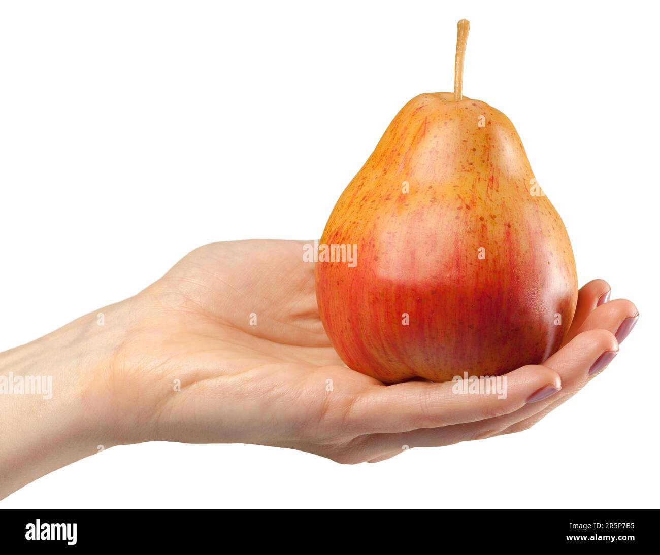Hand give pear hi-res stock photography and images - Alamy