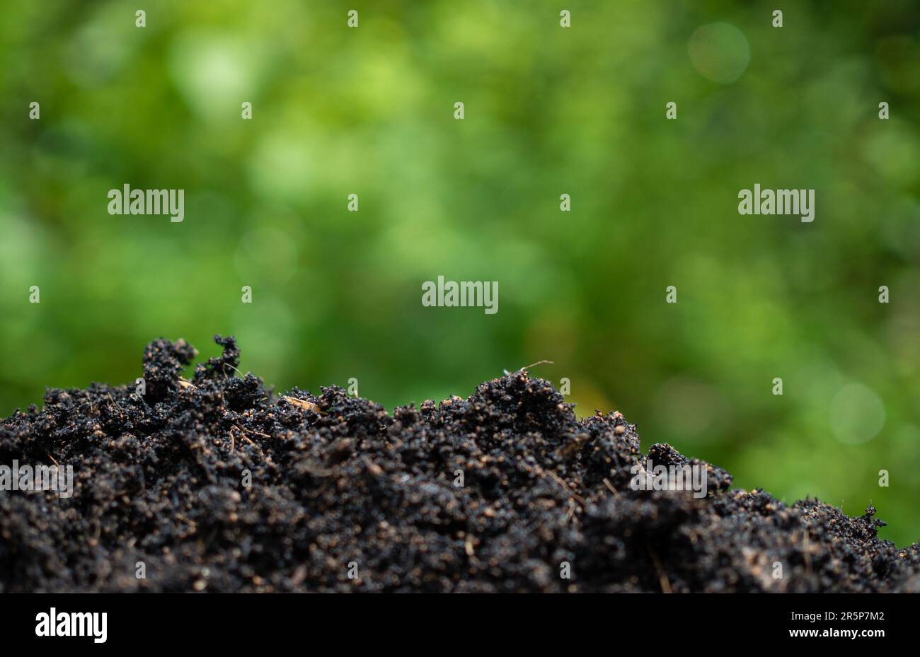 Background with soil and green from nature. Environmental protection ...
