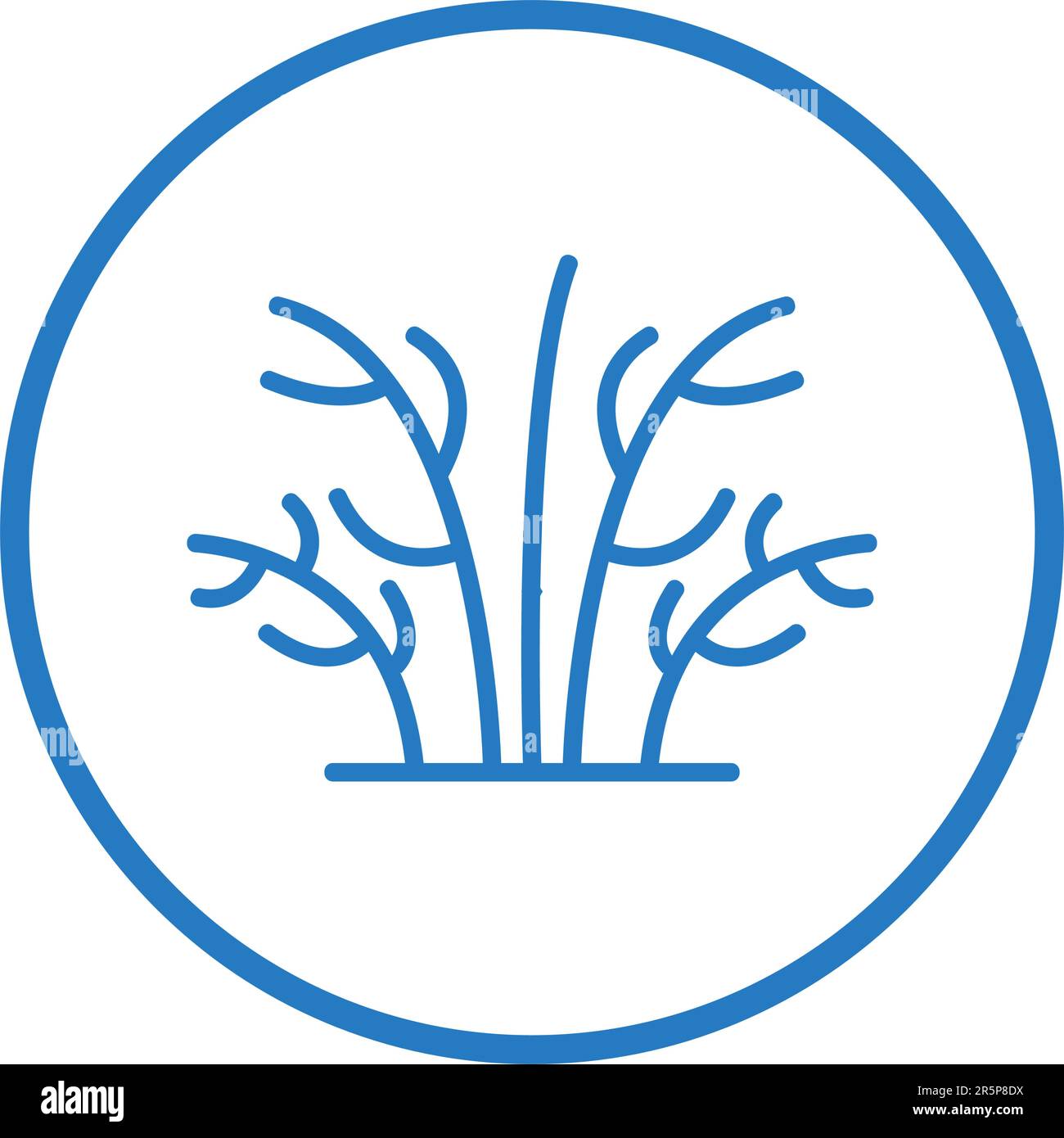 Algae icon hi-res stock photography and images - Alamy