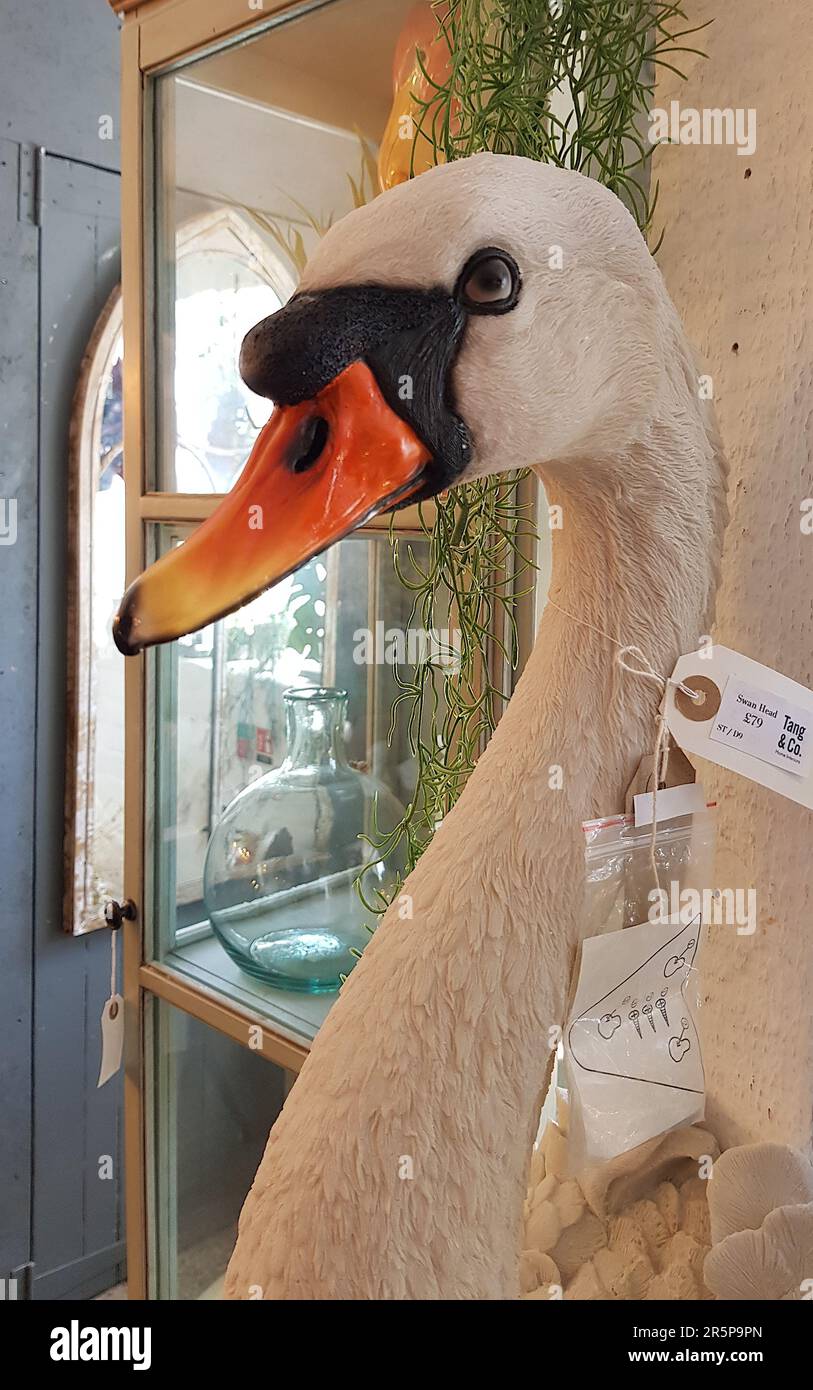 Large, realistic model of a swan's head Stock Photo - Alamy