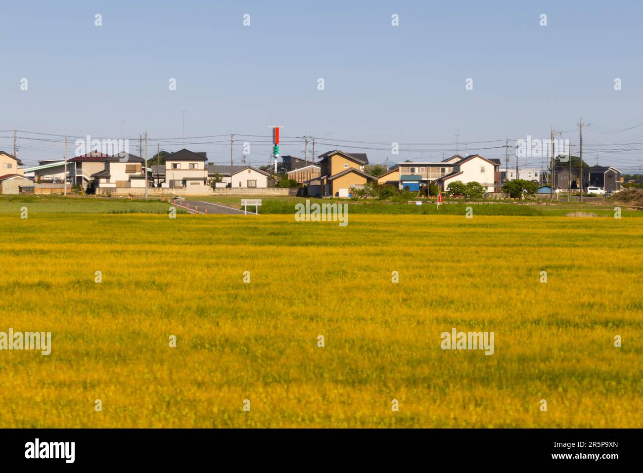 Kanuma japan hi-res stock photography and images - Alamy