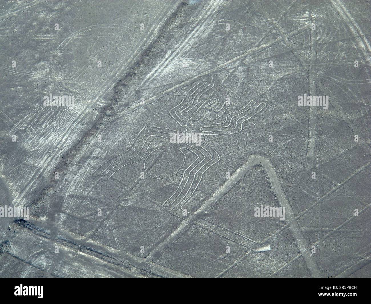 The Nazca lines in Peru in South America Stock Photo - Alamy
