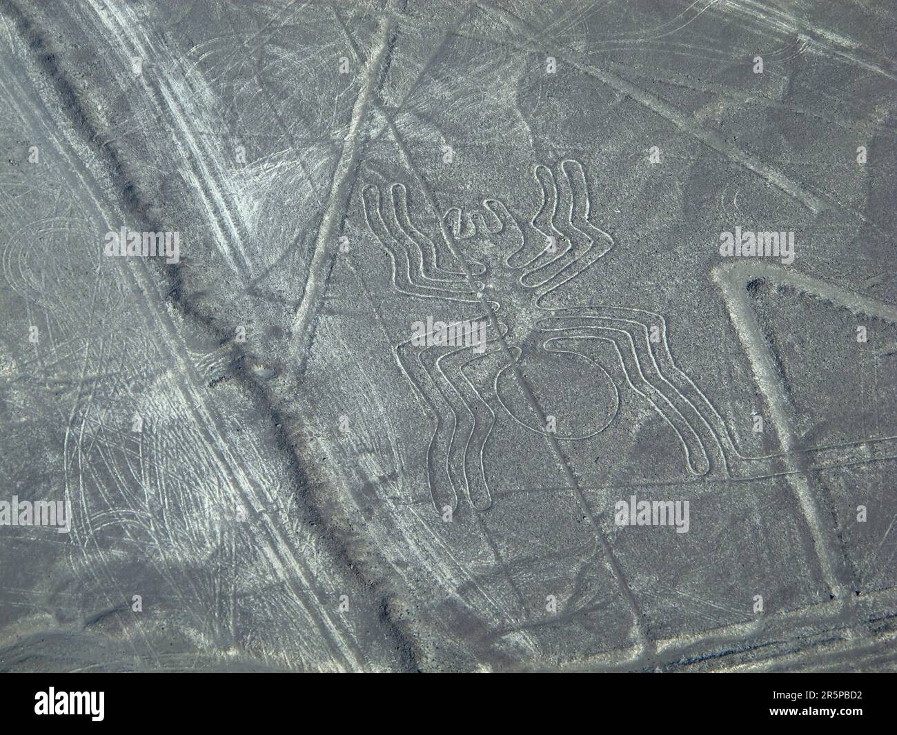 The Nazca lines in Peru in South America Stock Photo - Alamy