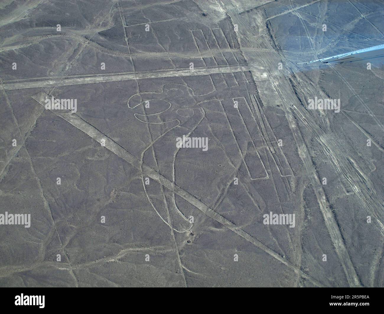 The Nazca lines in Peru in South America Stock Photo - Alamy