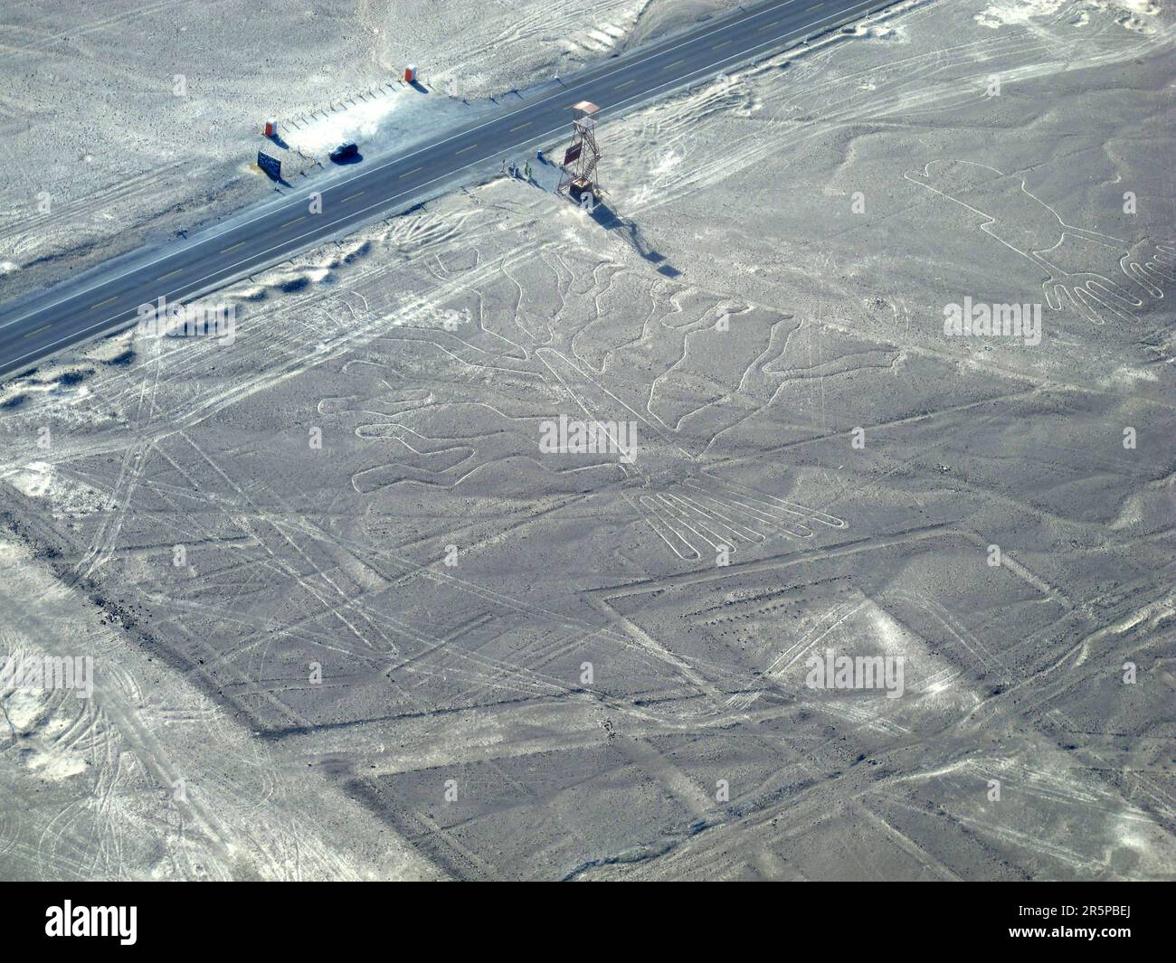 The Nazca lines in Peru in South America Stock Photo - Alamy