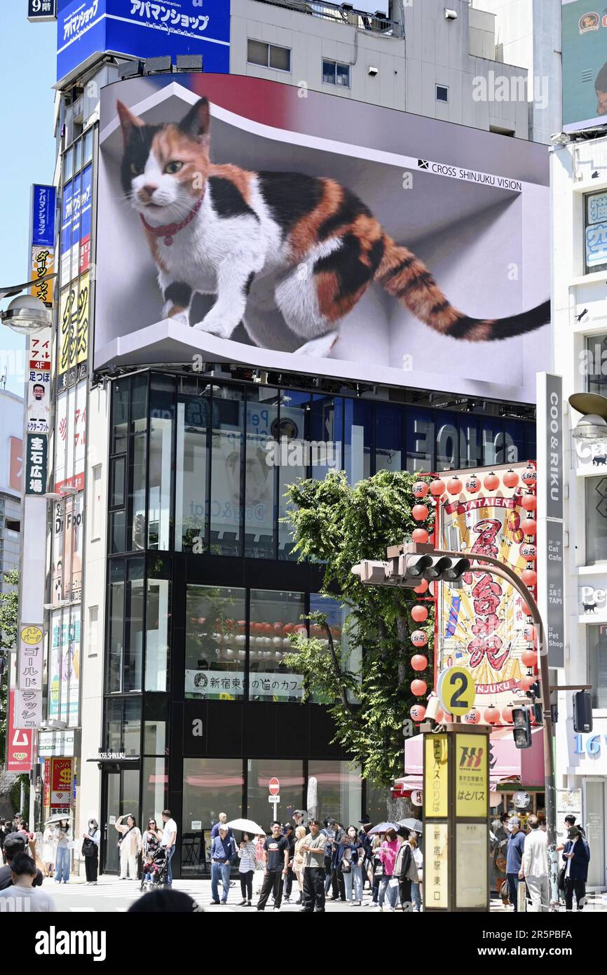 Photo taken on May 24, 2023, shows a giant 3D calico cat appearing on ...