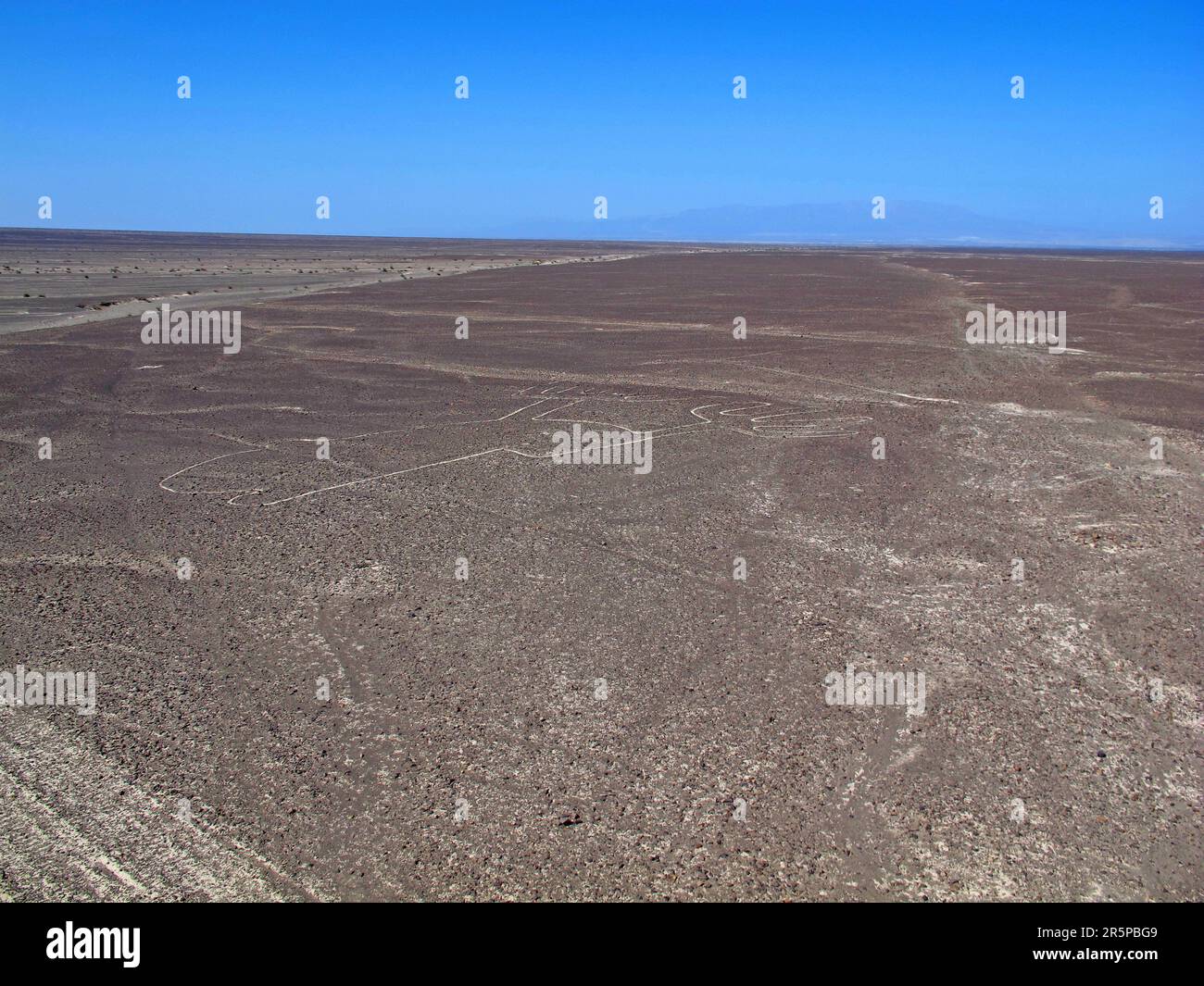 The Nazca lines in Peru in South America Stock Photo - Alamy