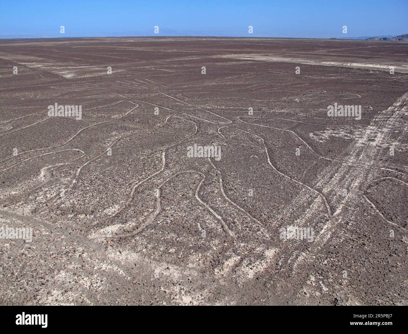 The Nazca lines in Peru in South America Stock Photo - Alamy