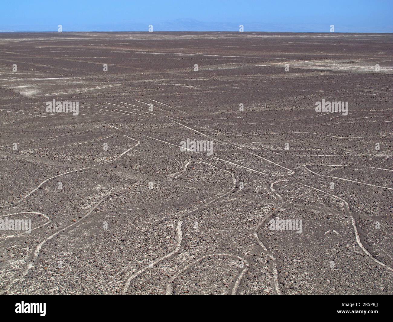 The Nazca lines in Peru in South America Stock Photo - Alamy