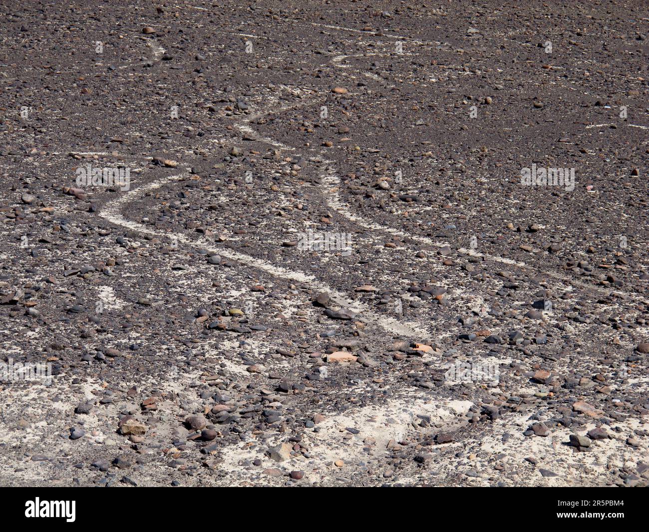 The Nazca lines in Peru in South America Stock Photo - Alamy
