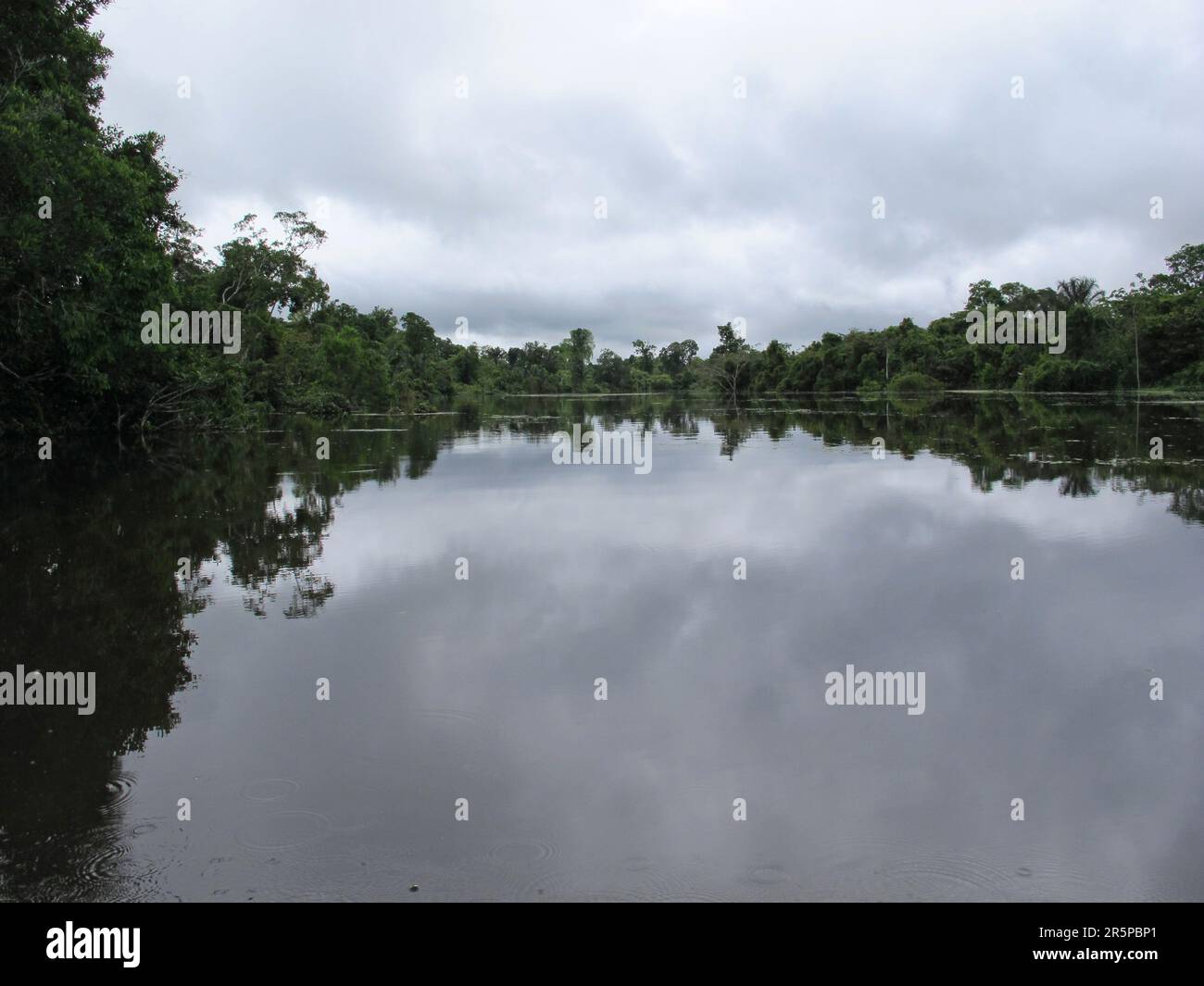 The Amazon river, Peru in South America Stock Photo - Alamy