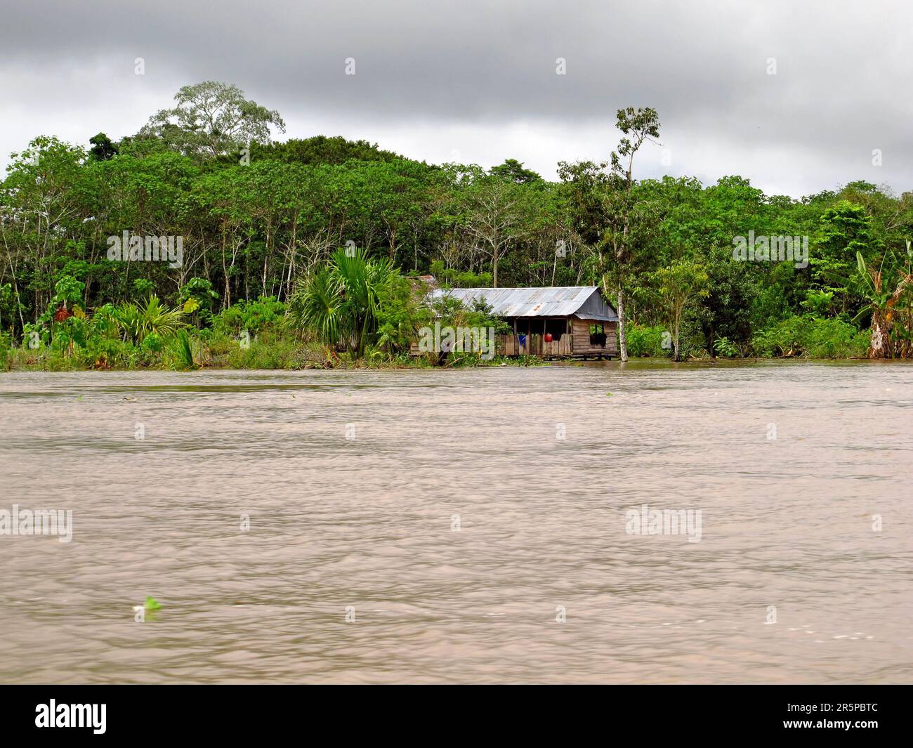 The Amazon river, Peru in South America Stock Photo - Alamy