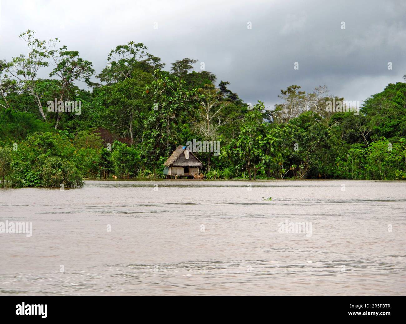 The Amazon river, Peru in South America Stock Photo - Alamy