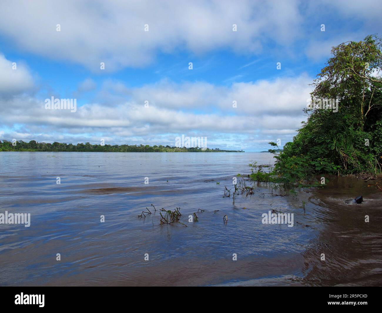 The Amazon river, Peru in South America Stock Photo - Alamy