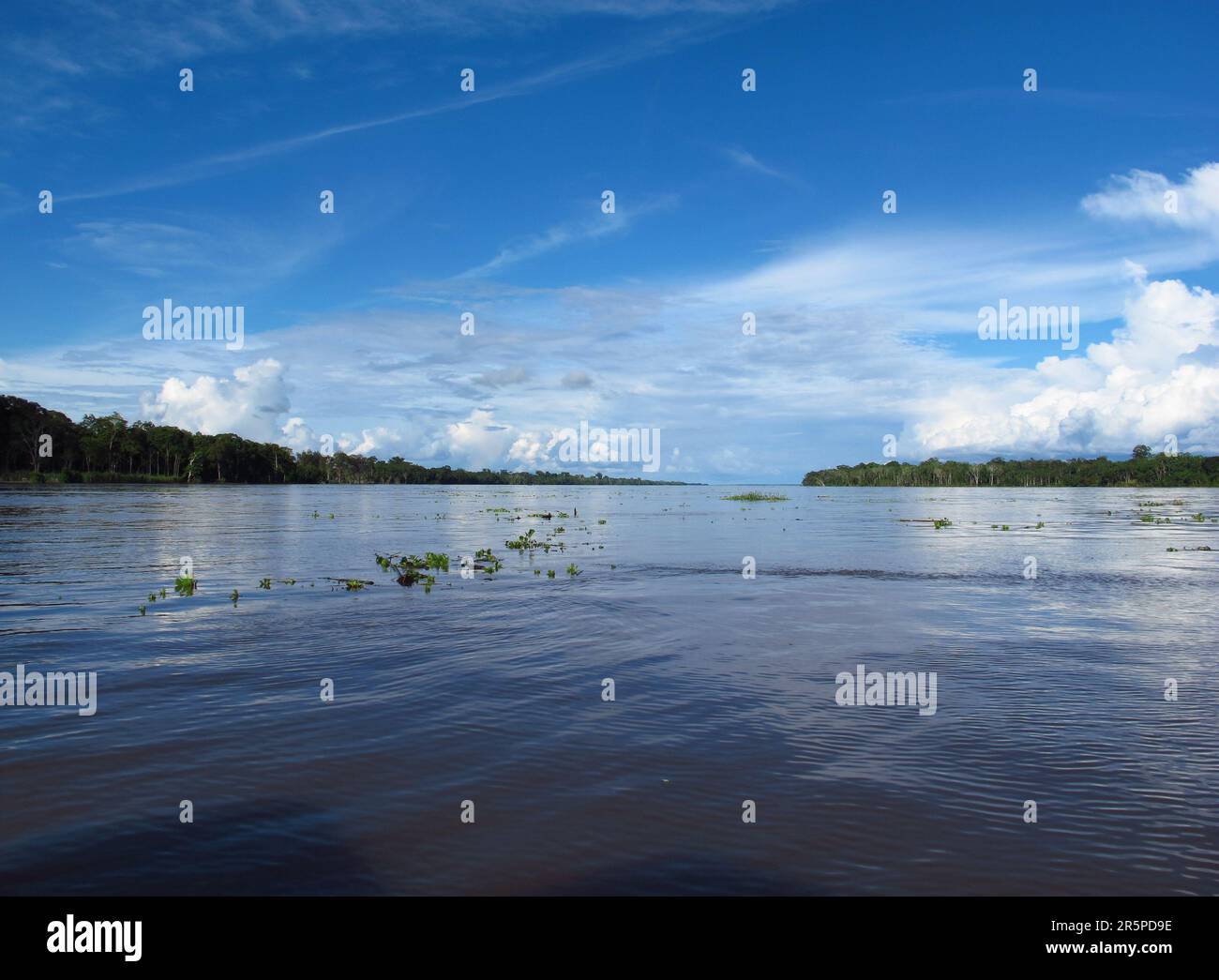 The Amazon river, Peru in South America Stock Photo - Alamy