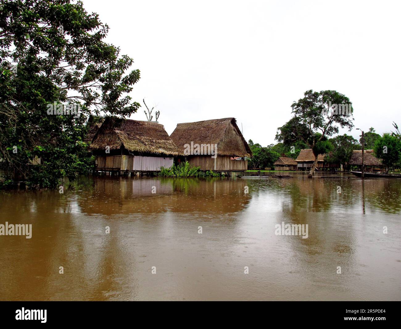 Indian jungle amazonie hi-res stock photography and images - Alamy