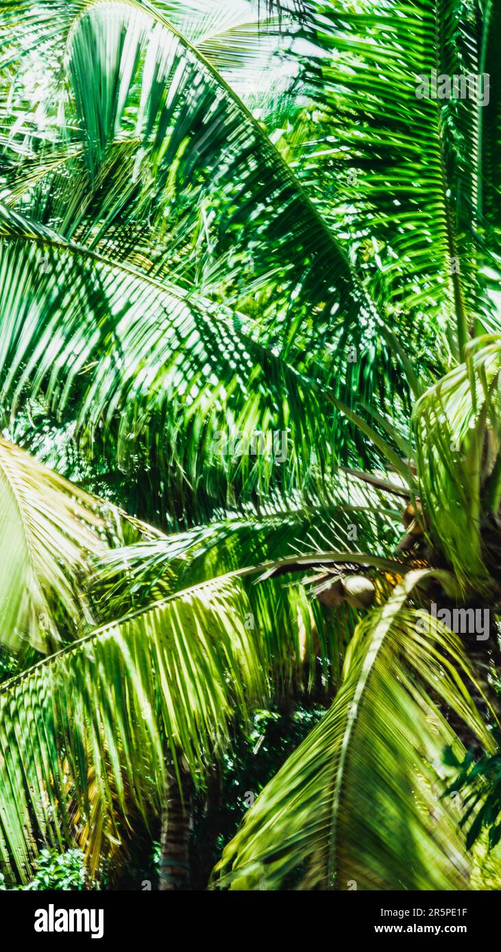 Abstract Nature Blurred dynamic motion lines defocused light bright ...