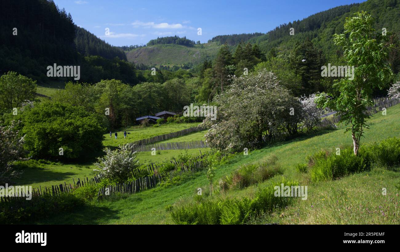 View near Corris Gwynedd Wales UK Stock Photo - Alamy