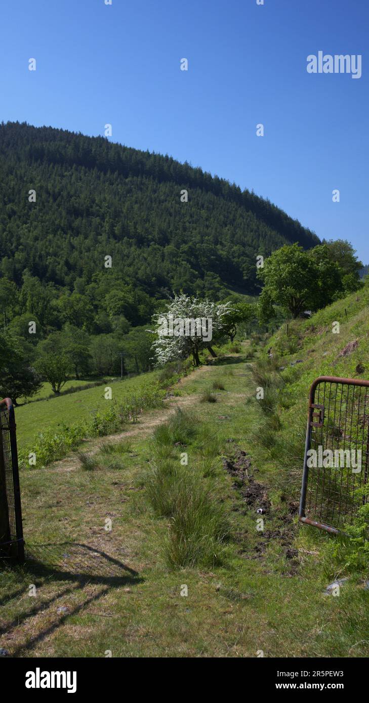 Remains of trackbed hi-res stock photography and images - Alamy