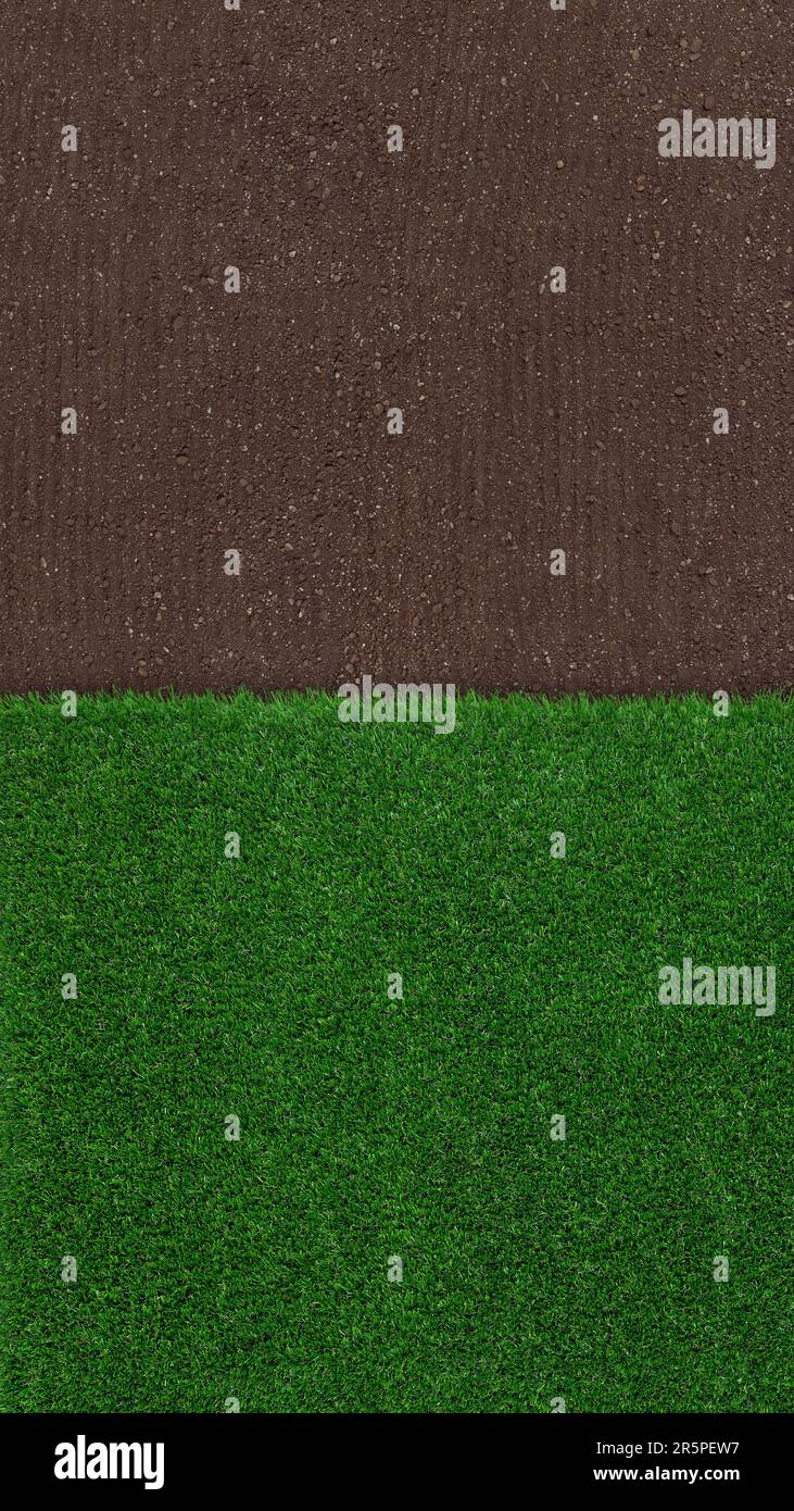 Meadow green grass surface and soil ground surface. Turf and terrain ...