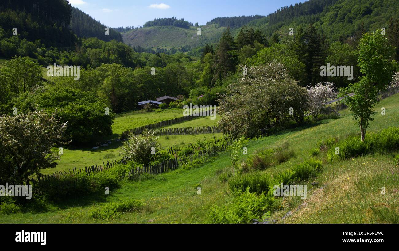View near Corris Gwynedd Wales UK Stock Photo - Alamy