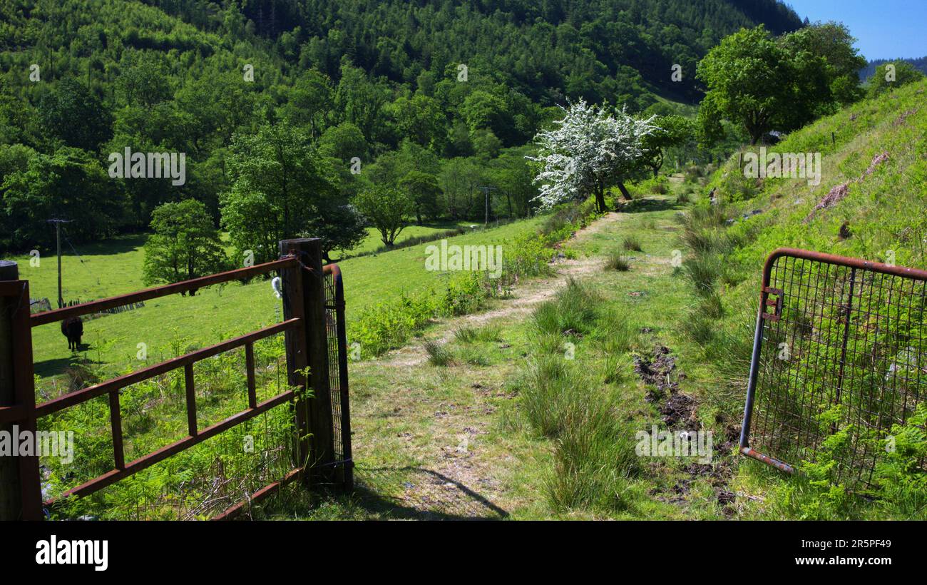 Remains of trackbed hi-res stock photography and images - Alamy