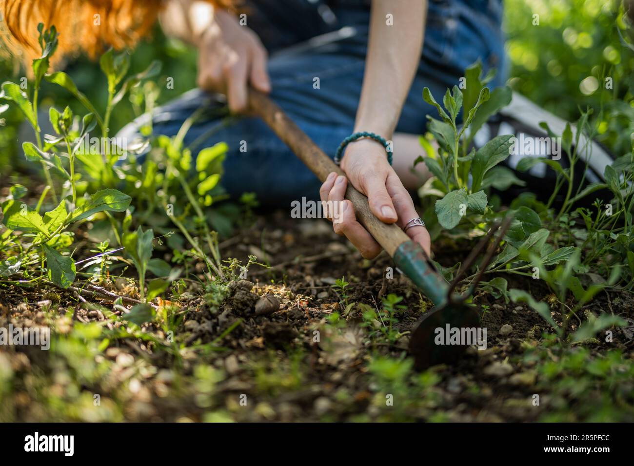 Girl digging in garden. Girl planting flowers. Gardening concept. Close ...