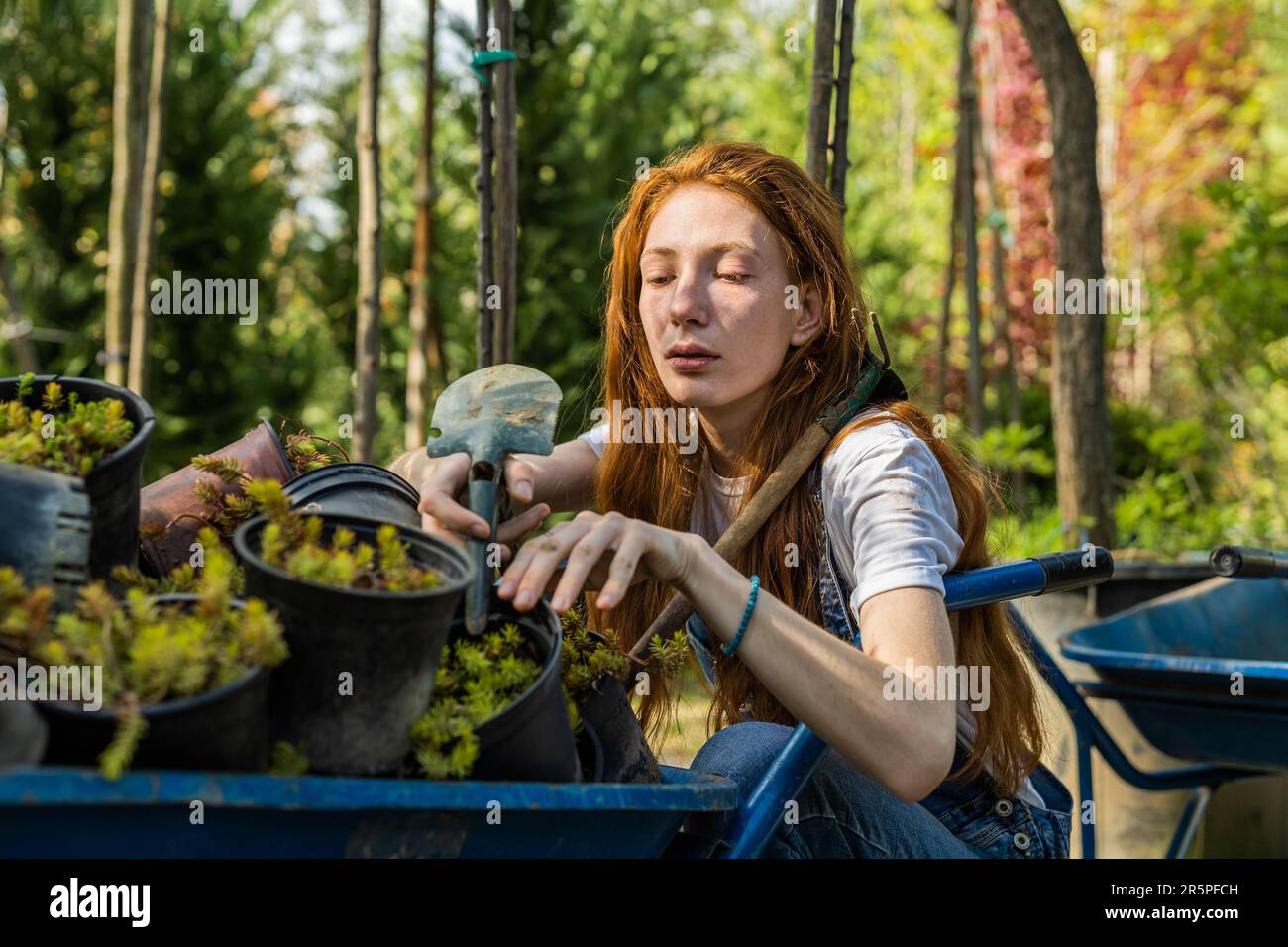 Ginger girl digging hi-res stock photography and images - Alamy