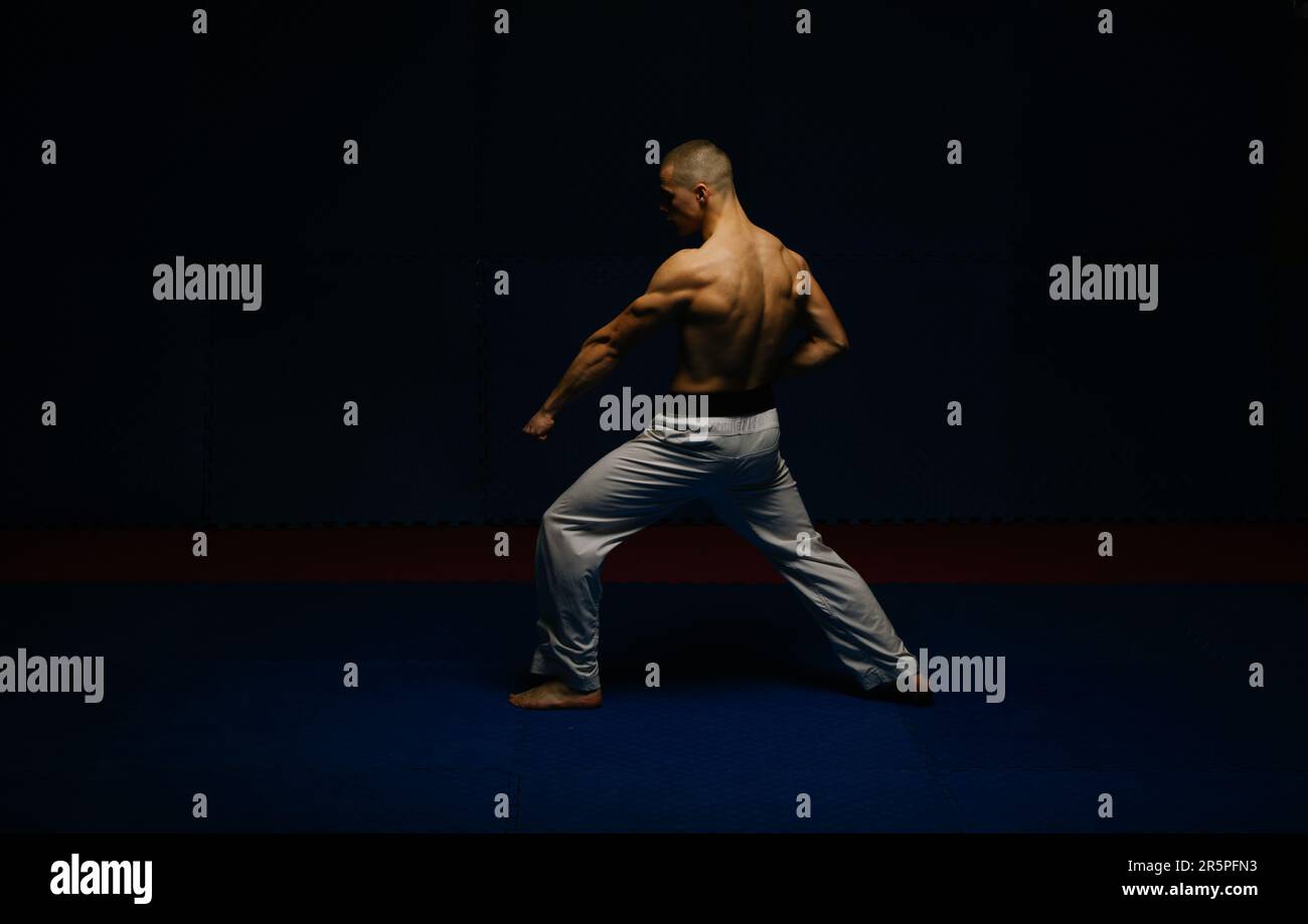 Handsome young man doing the Gedan Barai karate pose at the studio ...