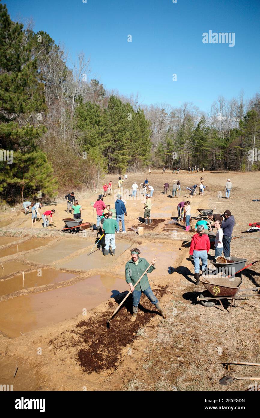 Farmers Digging in the mud to create Rice Paddies Stock Photo - Alamy