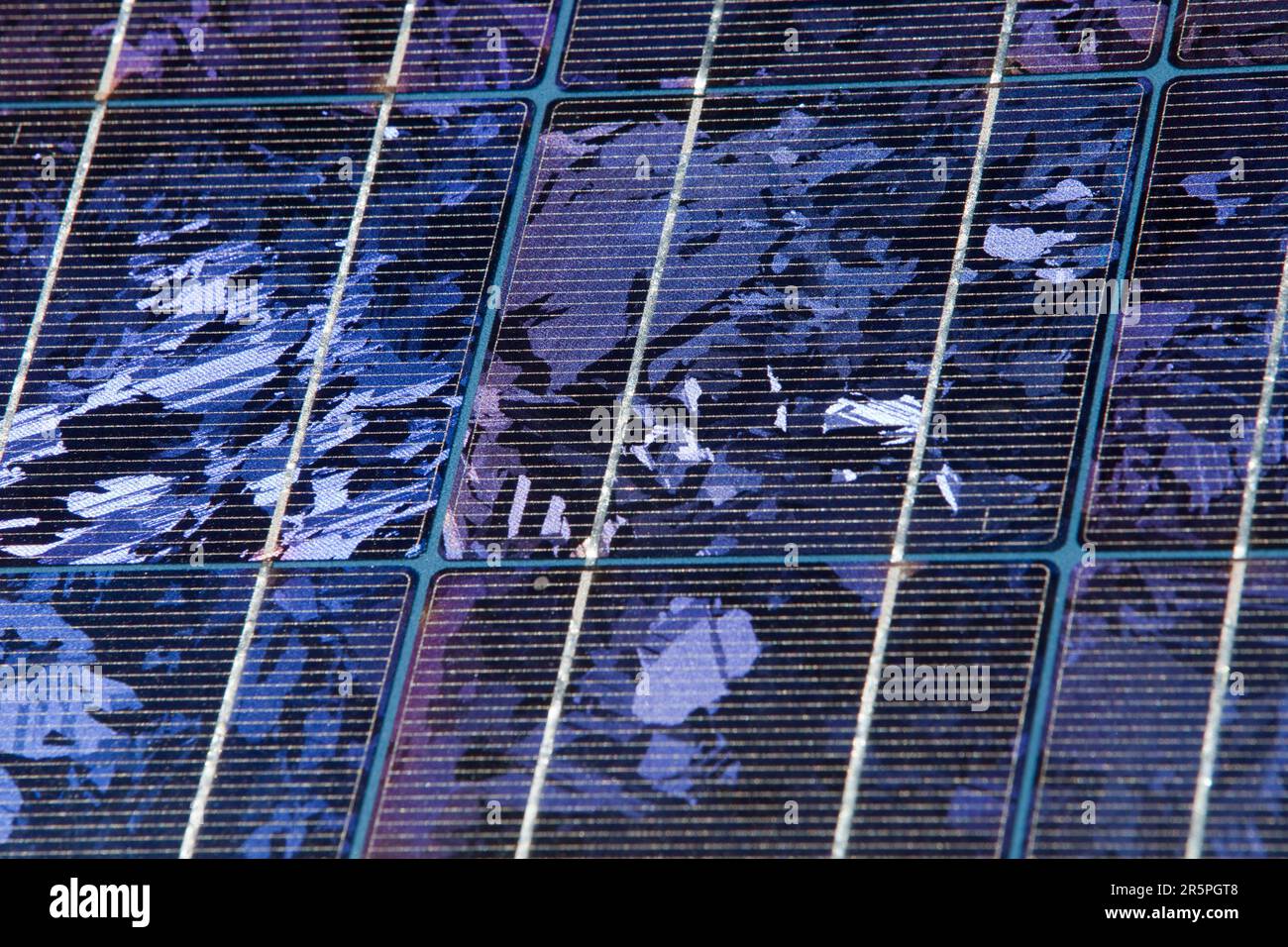 Solar panels being used to generate electricity to power scientific ...